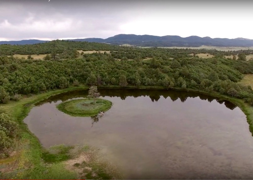 Broken Butt Ranch New Mexico