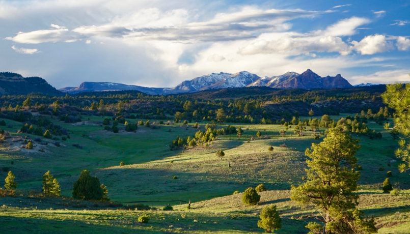 Broken Butt Ranch New Mexico