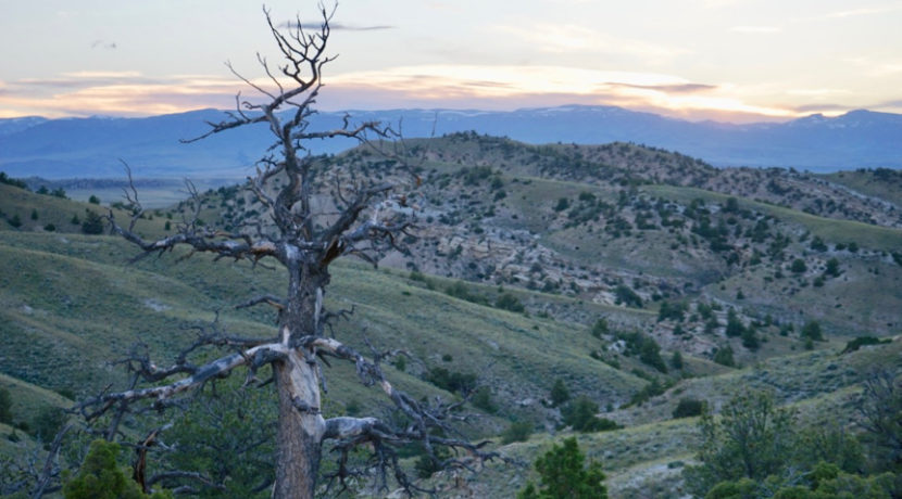 Ranches for Sale in Colorado, Wyoming, New Mexico & Utah