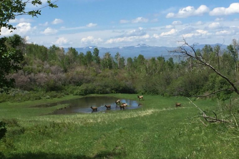 Williams Fork Mountain Ranch
