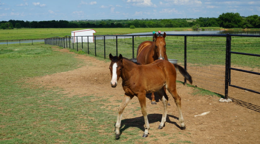 Historic Washington Cattle Ranch for Sale – Hunting and Horse Property ...
