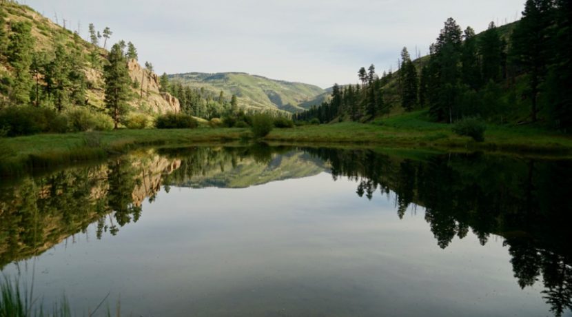 Cow Creek Ranch New Mexico – Ranches for Sale Colorado, Wyoming, New ...