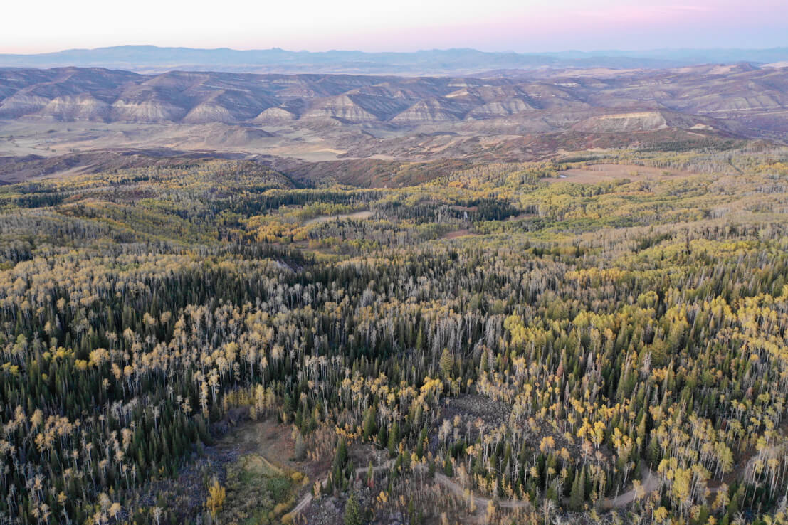 The Complete Guide to How to Buy a Ranch in Colorado