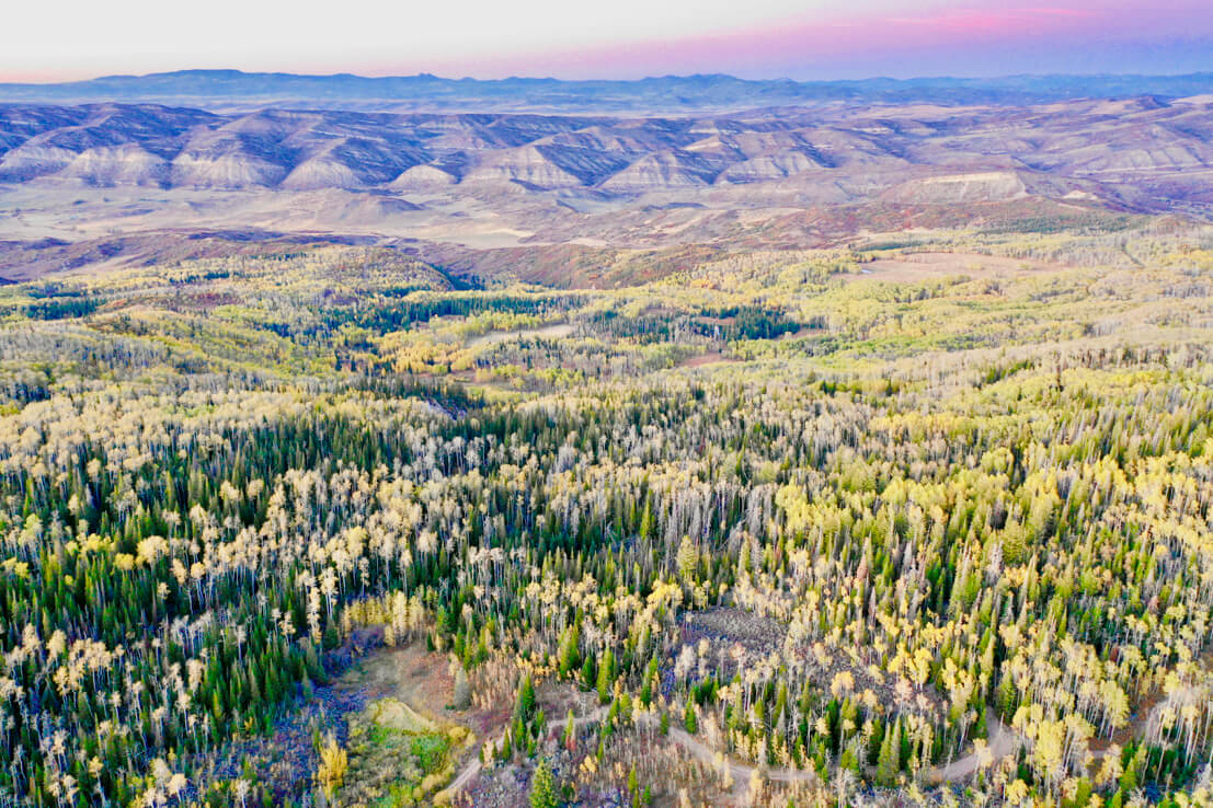 10 Things to Know Before Buying a Hunting Property