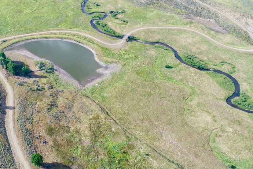 The Difference Between a Farm and a Ranch Explained.
