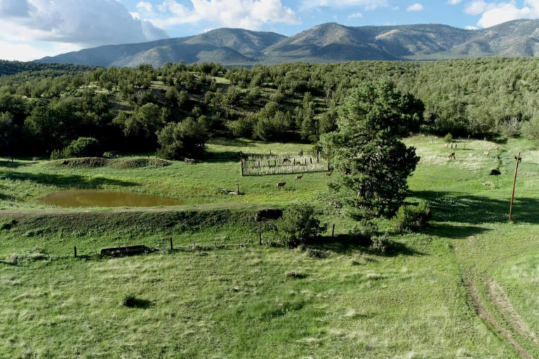 Ponderosa Springs Ranch