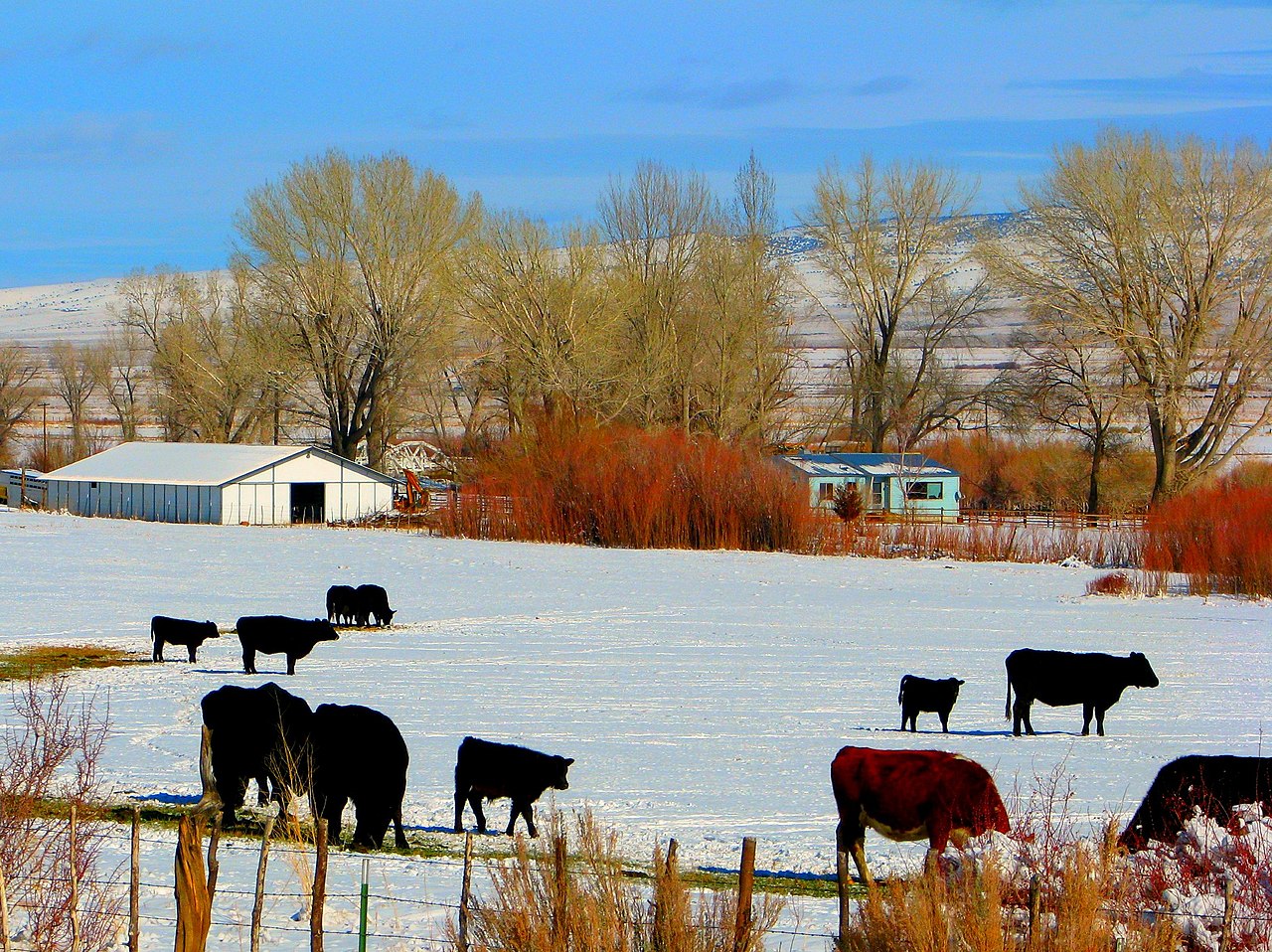 Ranches for Sale in Colorado, Wyoming, New Mexico & Utah