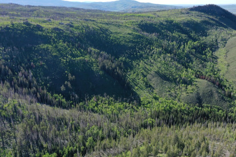 Independence Mountain Ranch