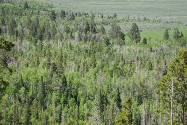 Independence Mountain Ranch