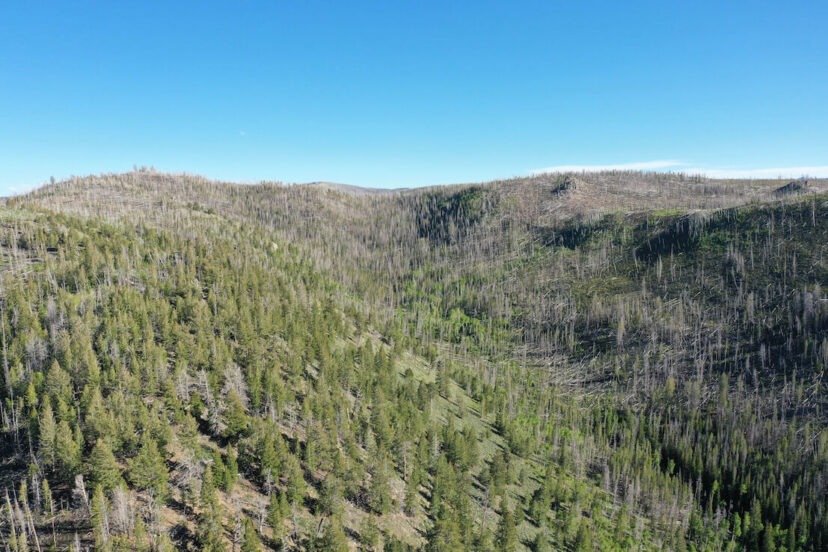 Independence Mountain Ranch