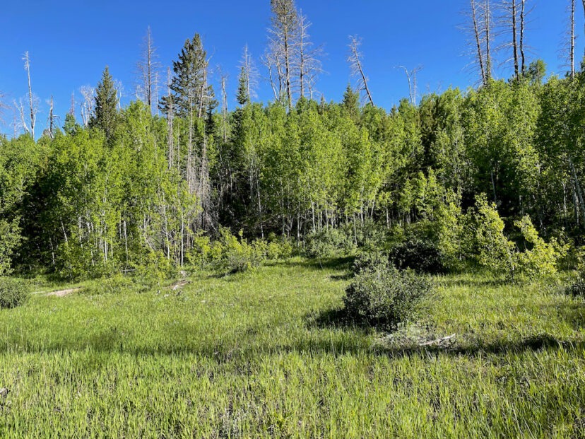 Independence Mountain Ranch