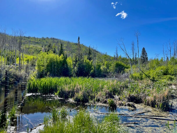 Independence Mountain Ranch