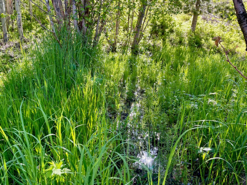 Independence Mountain Ranch