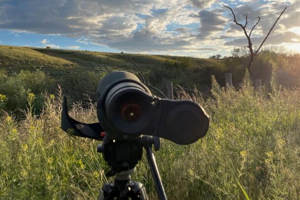 Hidden Springs Ranch