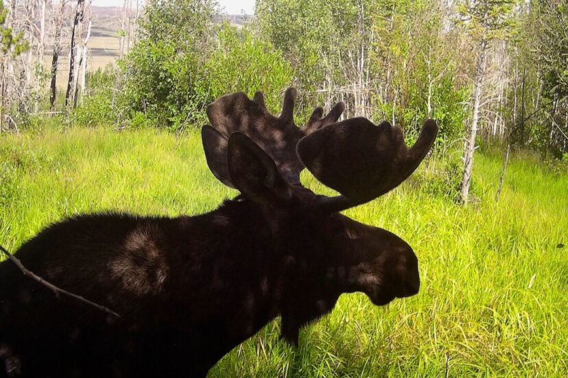 Independence Mountain Ranch