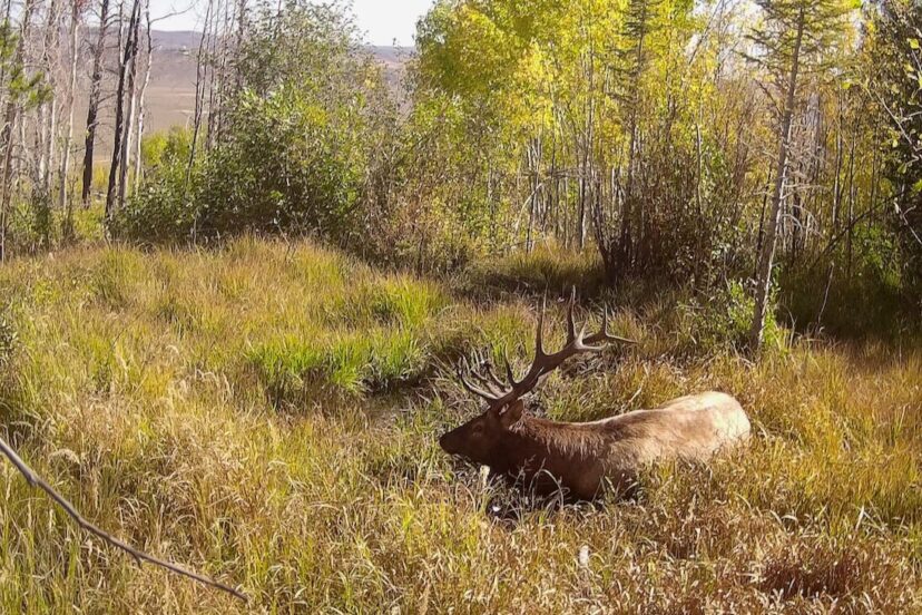 Independence Mountain Ranch