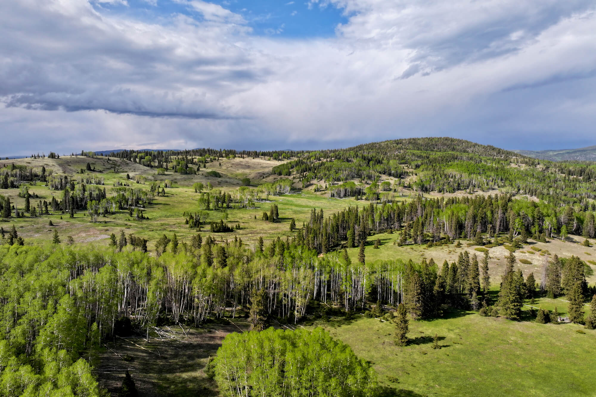 High Country Ranch - Harrigan Land Company
