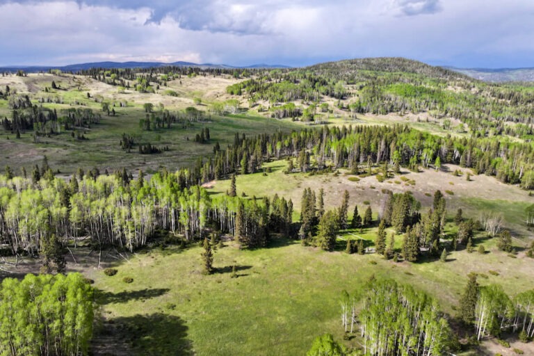 High Country Ranch - Harrigan Land Company