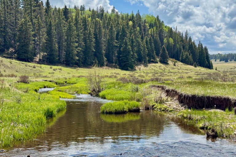 High Country Ranch - Harrigan Land Company