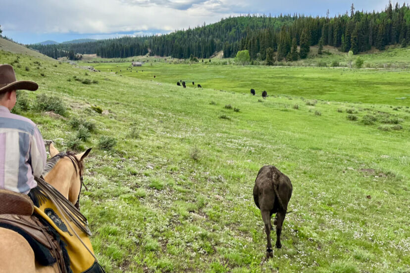 High Country Ranch - Harrigan Land Company
