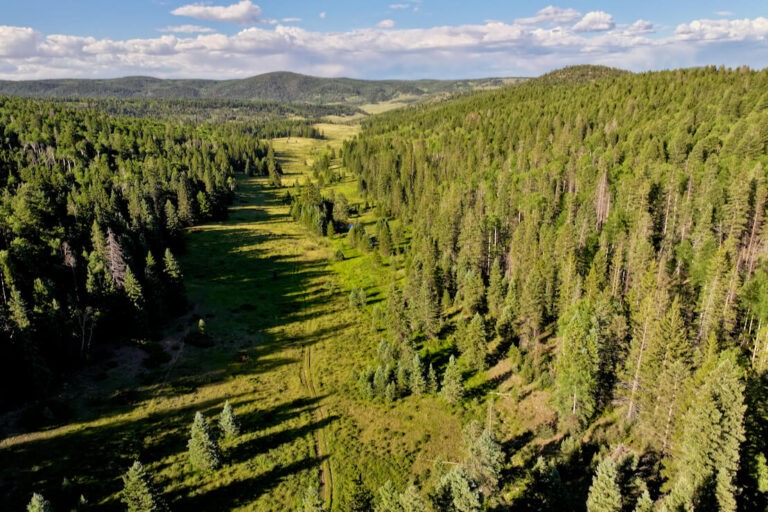 High Country Ranch - Harrigan Land Company