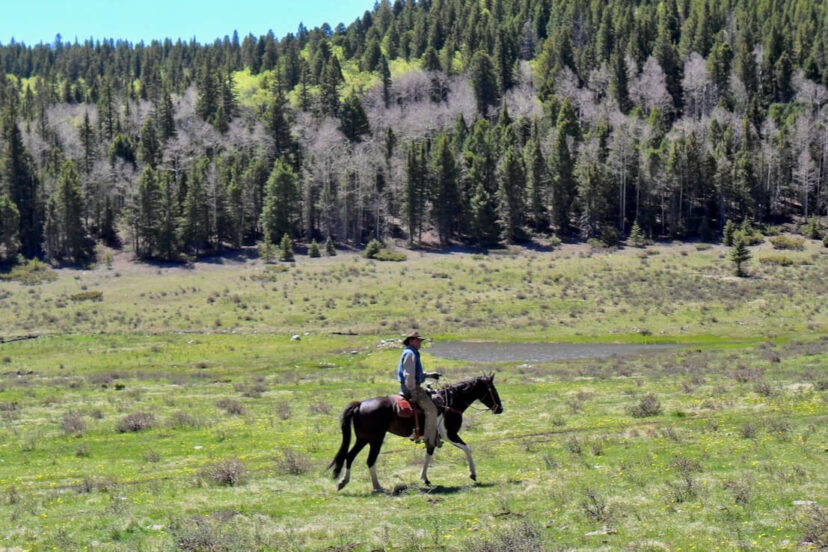 High Country Ranch - Harrigan Land Company