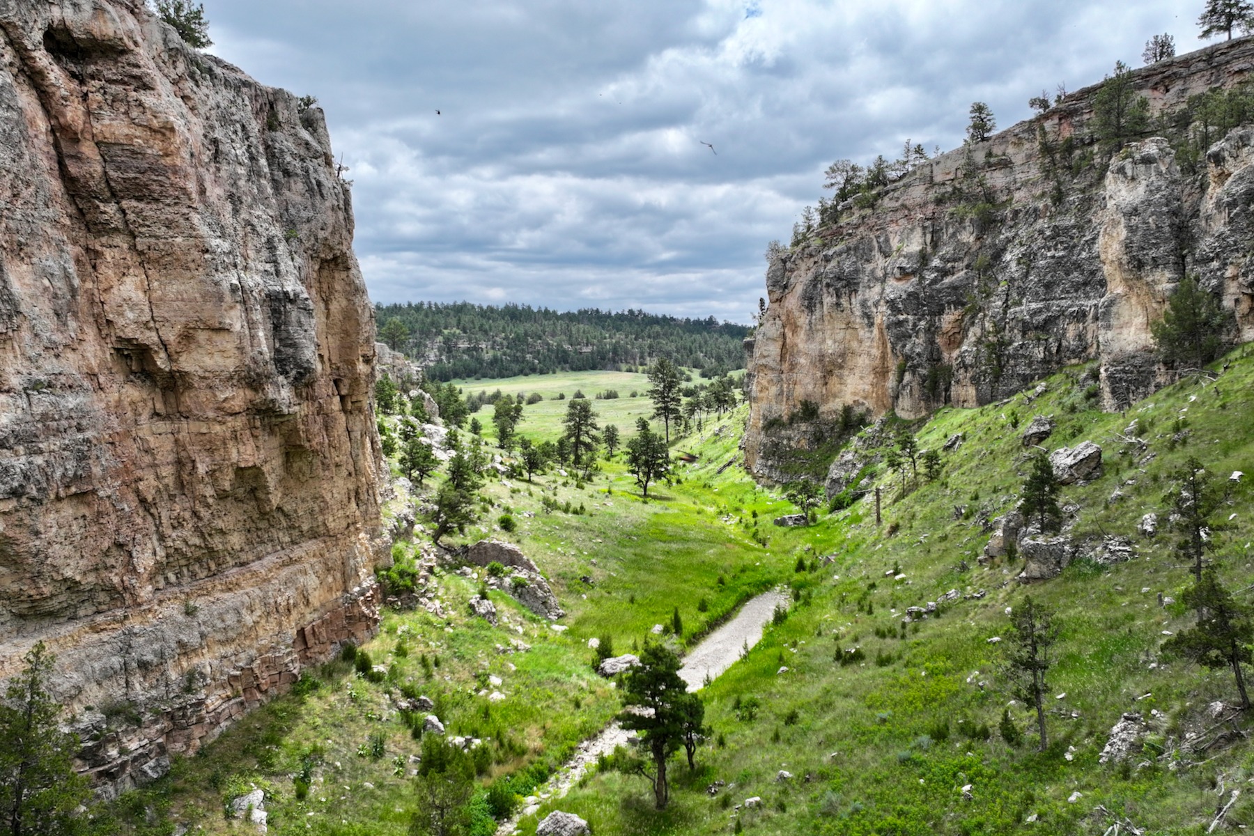 2025 Ranch Market Update and 2026 Outlook - Harrigan Land Company