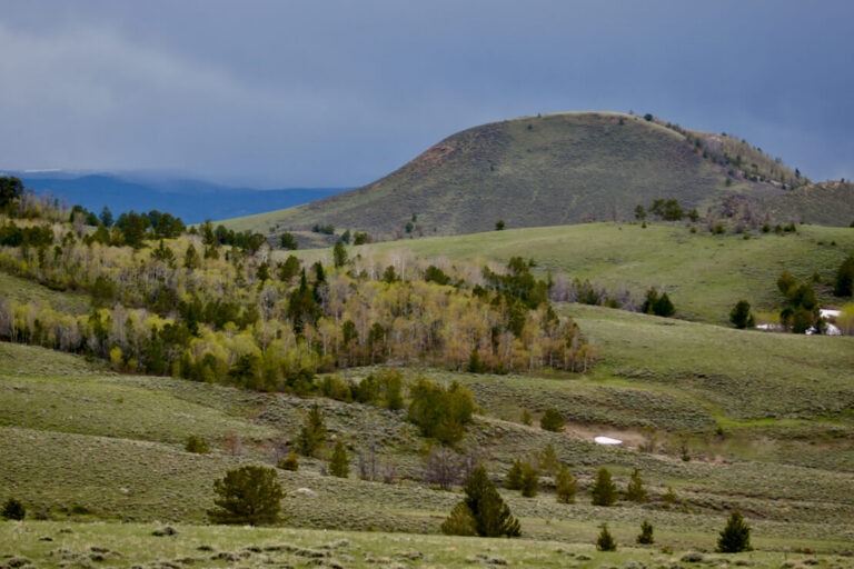 Bull Mountain Cattle Company - Harrigan Land Company